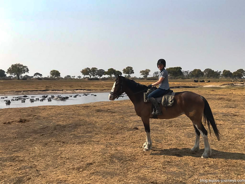 Meet our US-based agent, Louise | Worldwide Hoofprints - Tales from the Saddle