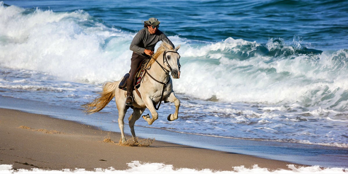 Equestrian Traditions and horseback travel | Equus Journeys